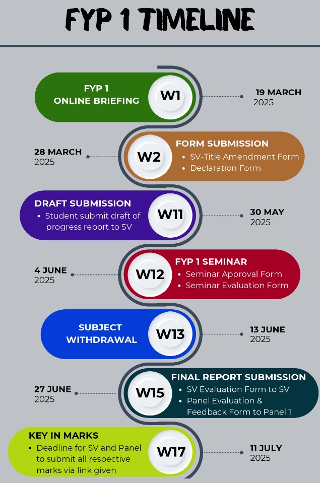 Final Year Project (FYP)